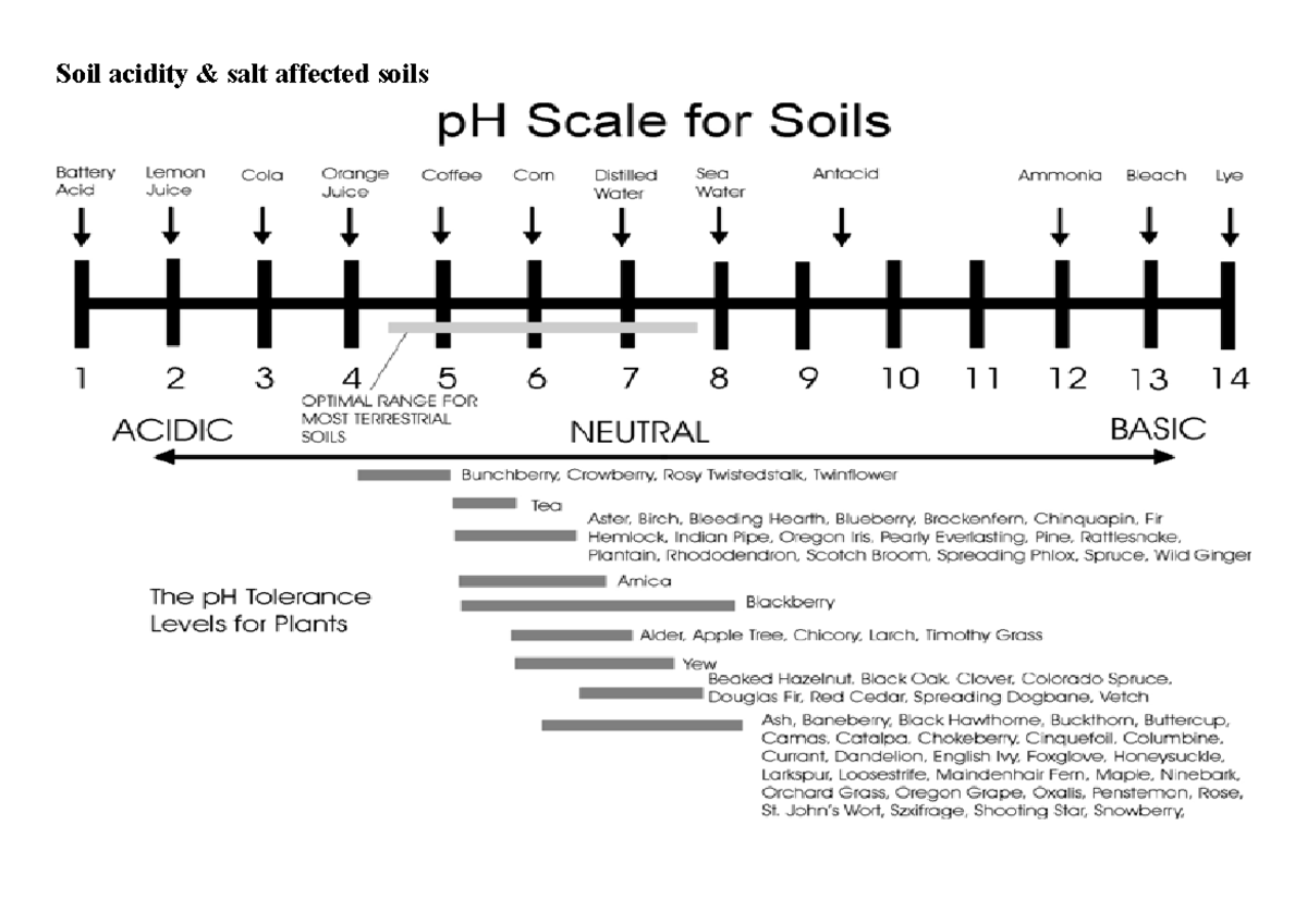 Soil acidity - Summary Soil Fertility - Soil acidity & salt affected ...