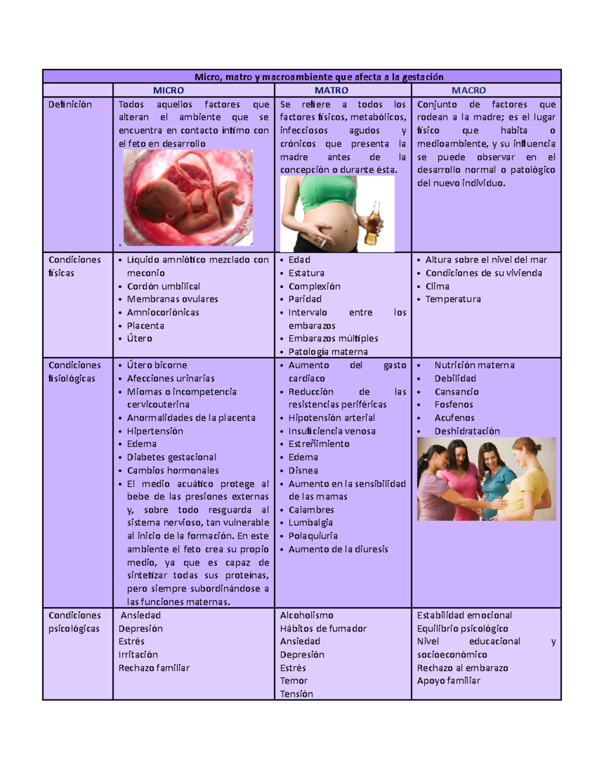 Micro - apuntes - Micro, matro y macroambiente que afecta a la ...