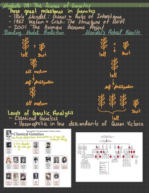 Module 8 Mutations, Complementation, DNA Repair, and Recombination - It ...
