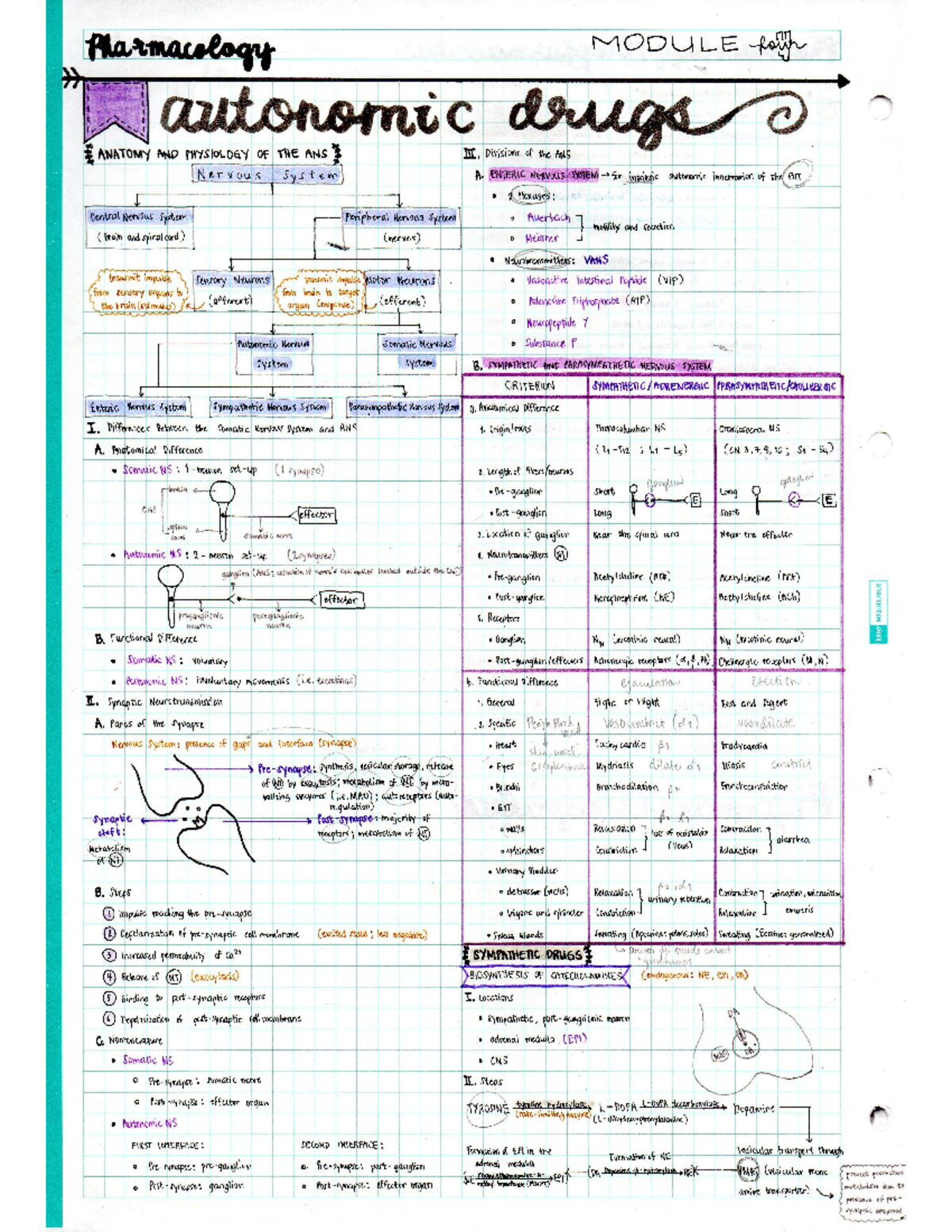 PCOL-87 - Lecture Notes - BS Pharmacy - Studocu