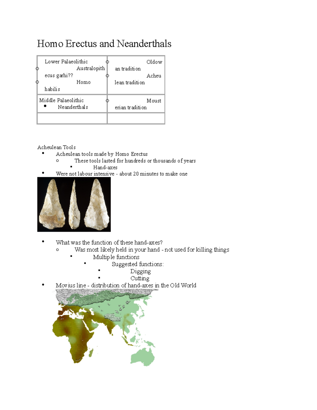 Homo Erectus and Neanderthals - Homo Erectus and Neanderthals o Lower ...