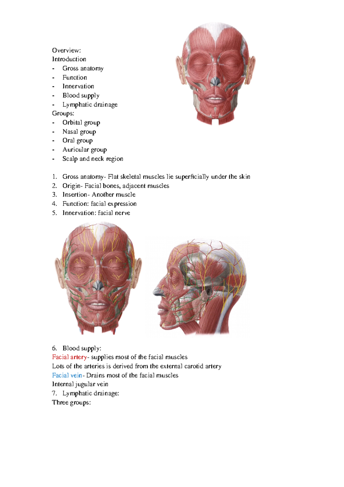 3004 Facial muscles, graph and narrations - ANAT3004 - USyd - Studocu