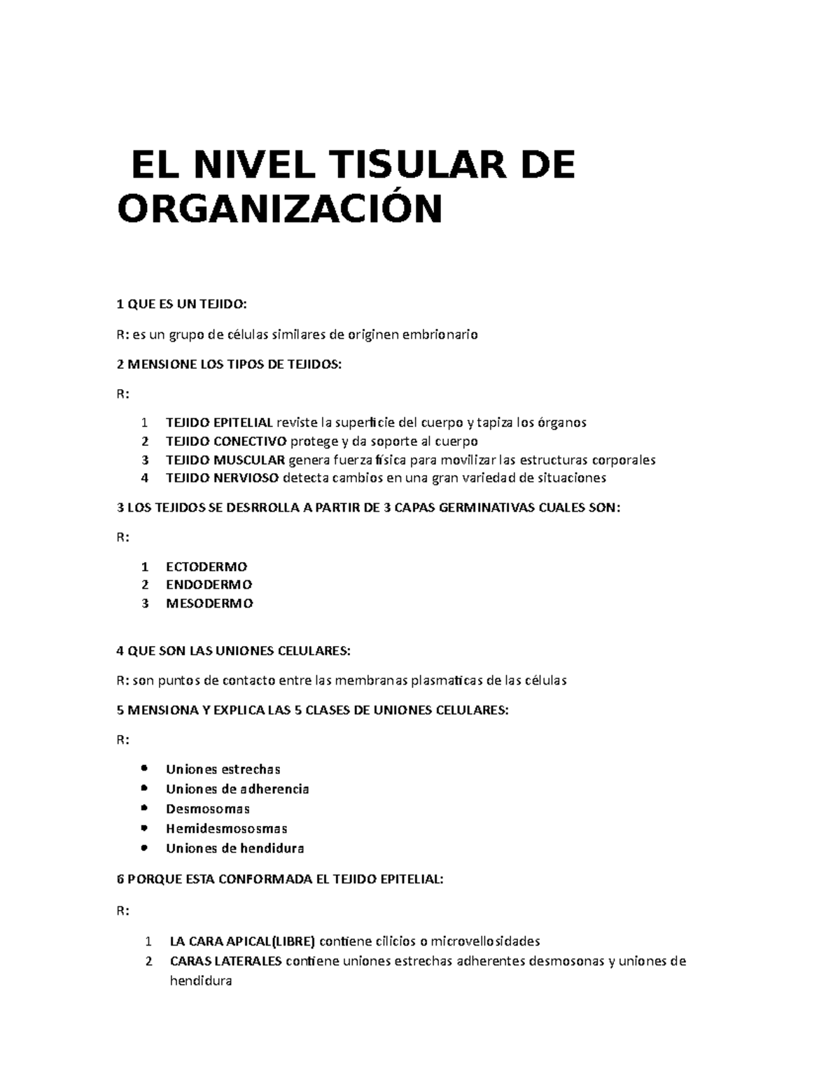 EL Nivel Tisular DE Organización - EL NIVEL TISULAR DE ORGANIZACIÓN 1 ...