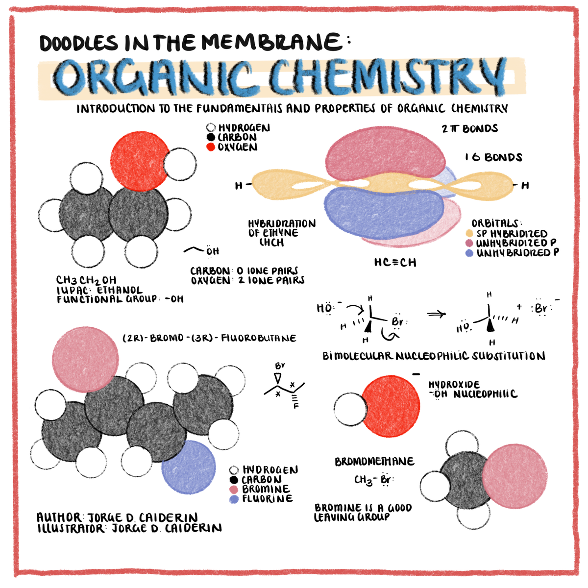 Doodles in the Membrane Organic Chemistry Introduction Booklet - Studocu