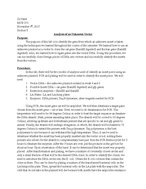 Week 12 Analysis of an Unknown Insert Report - Shayari Liyanapatabendi ...