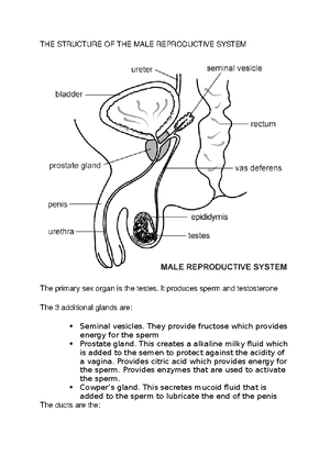 Grade 12 Notes LIFE Sciences - Reproduction AND Endocrine System AND ...