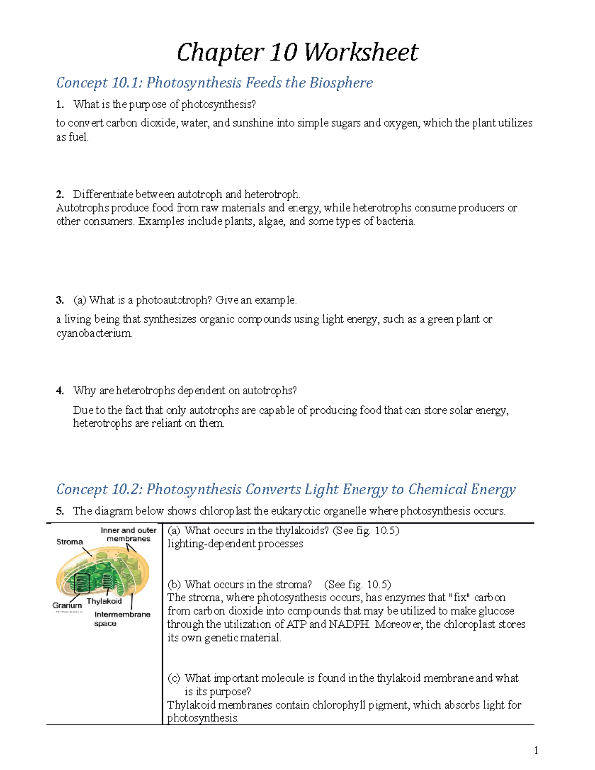 Chapter 10 worksheet CB - Chapter 10 Worksheet Concept 10 ...