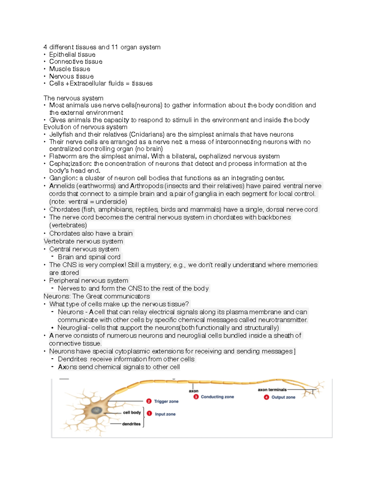 Nervous system BY102 - 4 diûerent tissues and 11 organ system ...