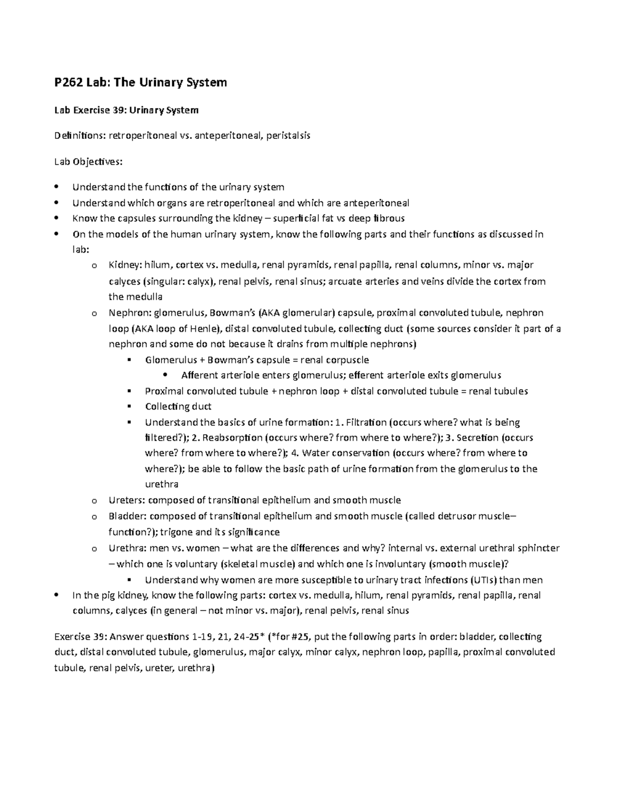10 Urinary System Lab - notes - P262 Lab: The Urinary System Lab ...