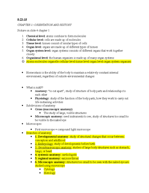 Lab Practical 3 Reflex Physiology - Anatomy & Physiology I Human Reflex ...