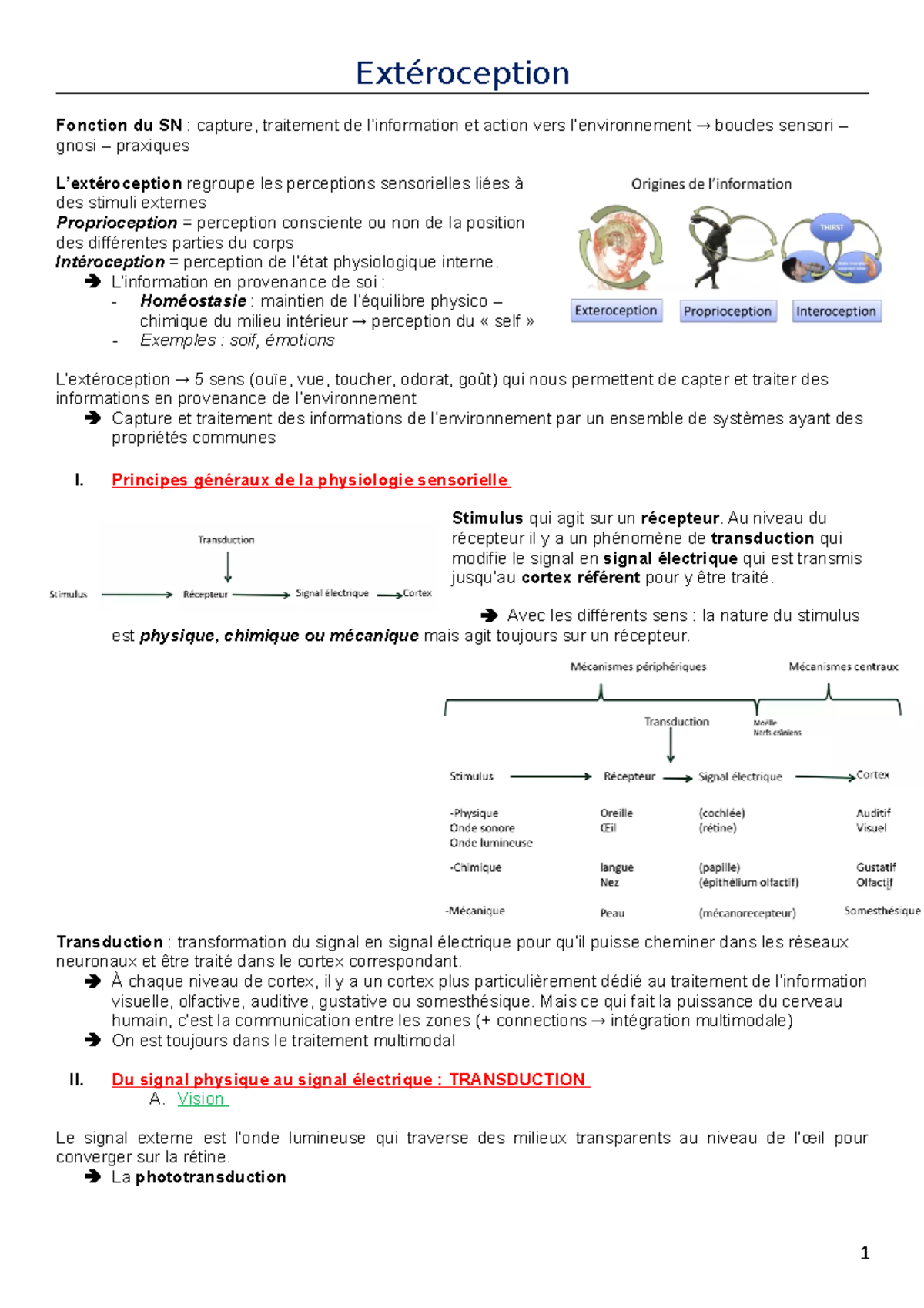 Extéroception - physiologie humaine - Extéroception Fonction du SN ...