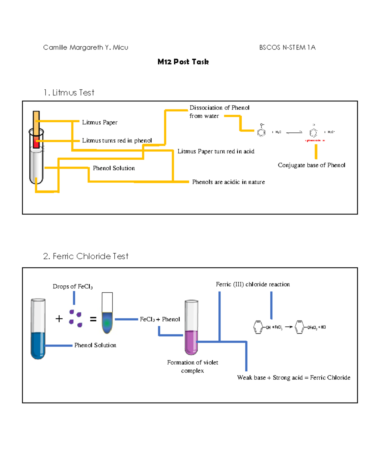 M12 Post task Micu, Margareth - Camille Margareth Y. Micu BSCOS N-STEM ...