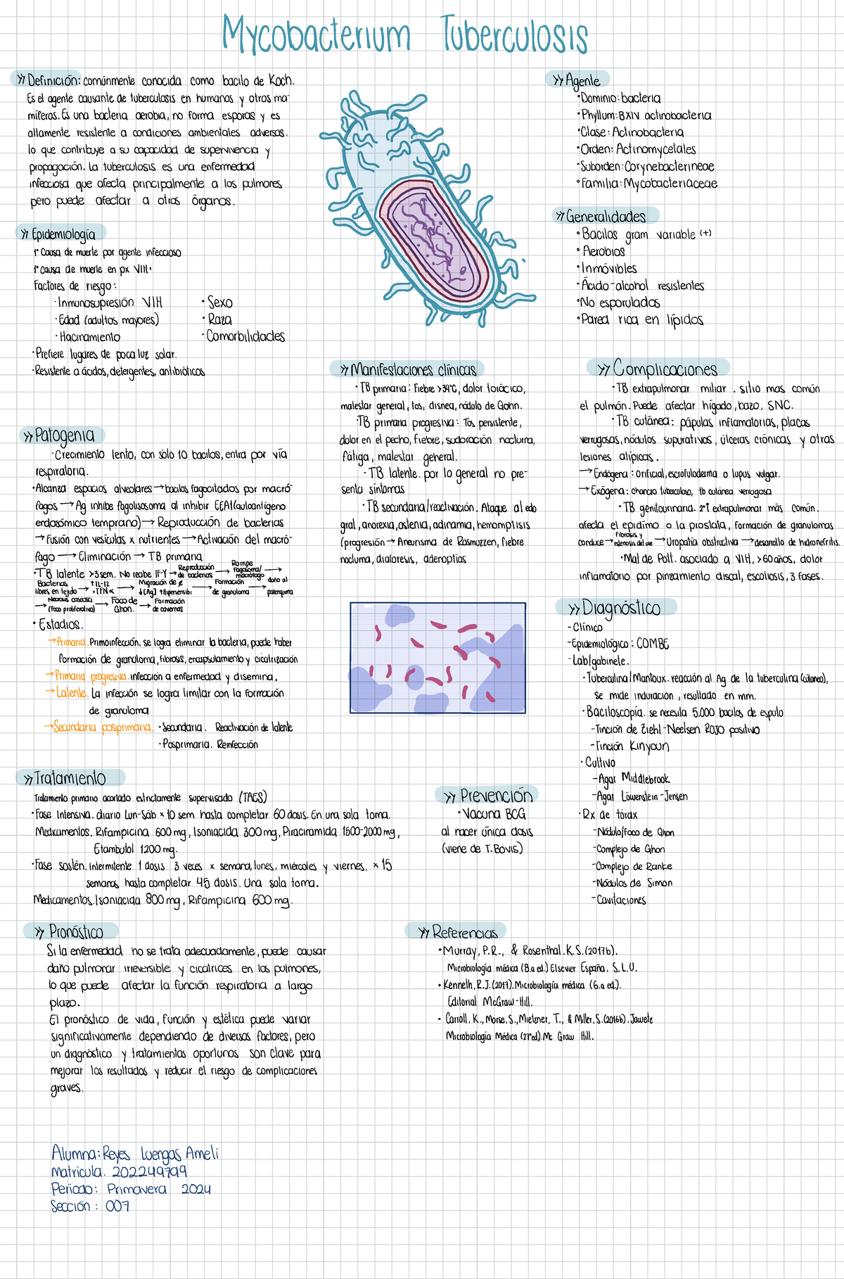 M. Tuberculosis - Mycobacterium Tuberculosis 7 Definición : comúnmente conocida como bacilo de ...