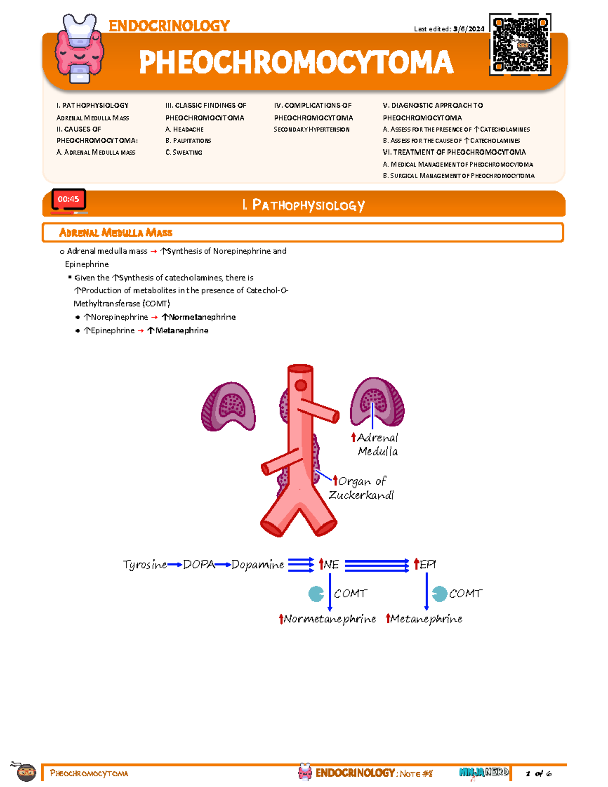 8-Pheochromocytoma-Notes - Pheochromocytoma ENDOCRINOLOGY: Note # 8 1 ...