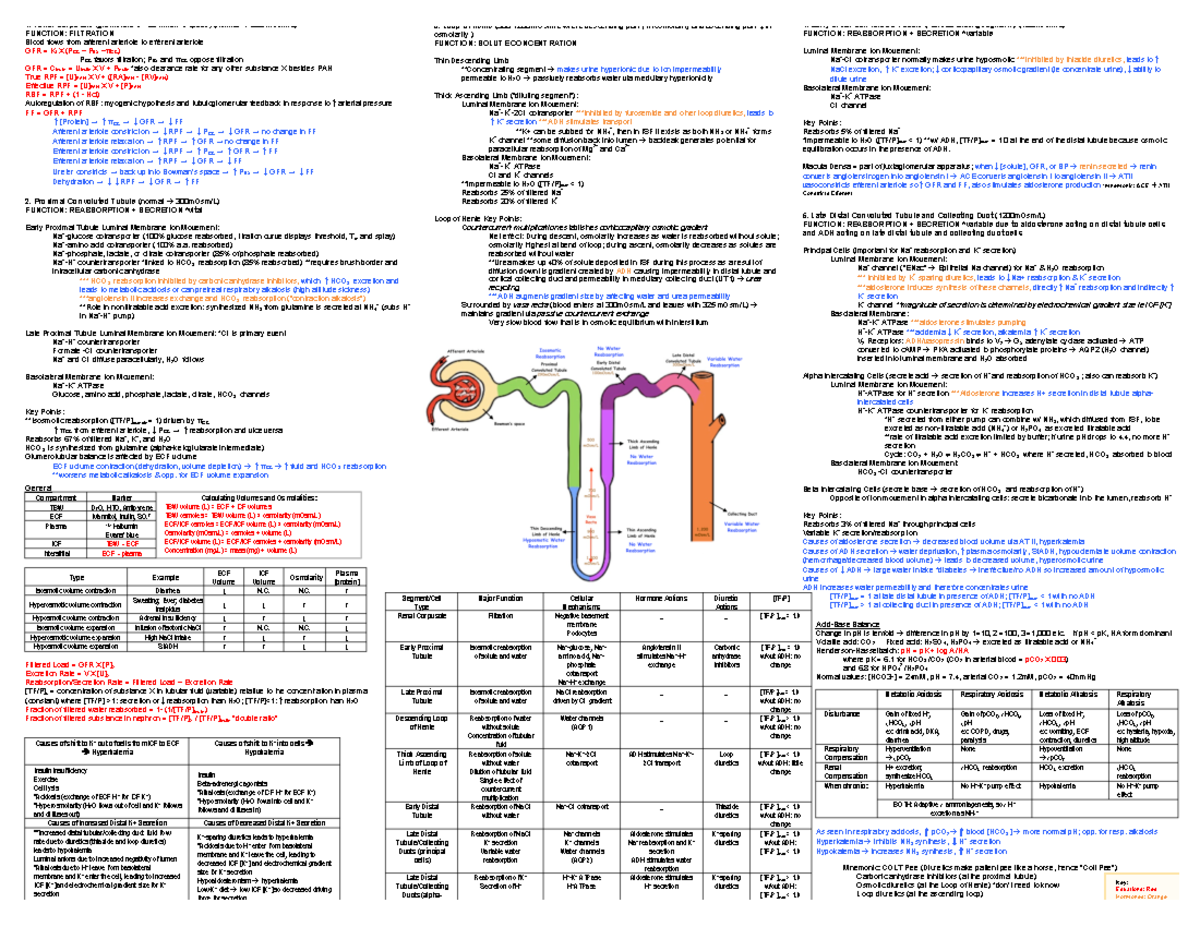 Exam 5 Renal Review - Key: Equations: Red Hormones: Orange Effects ...