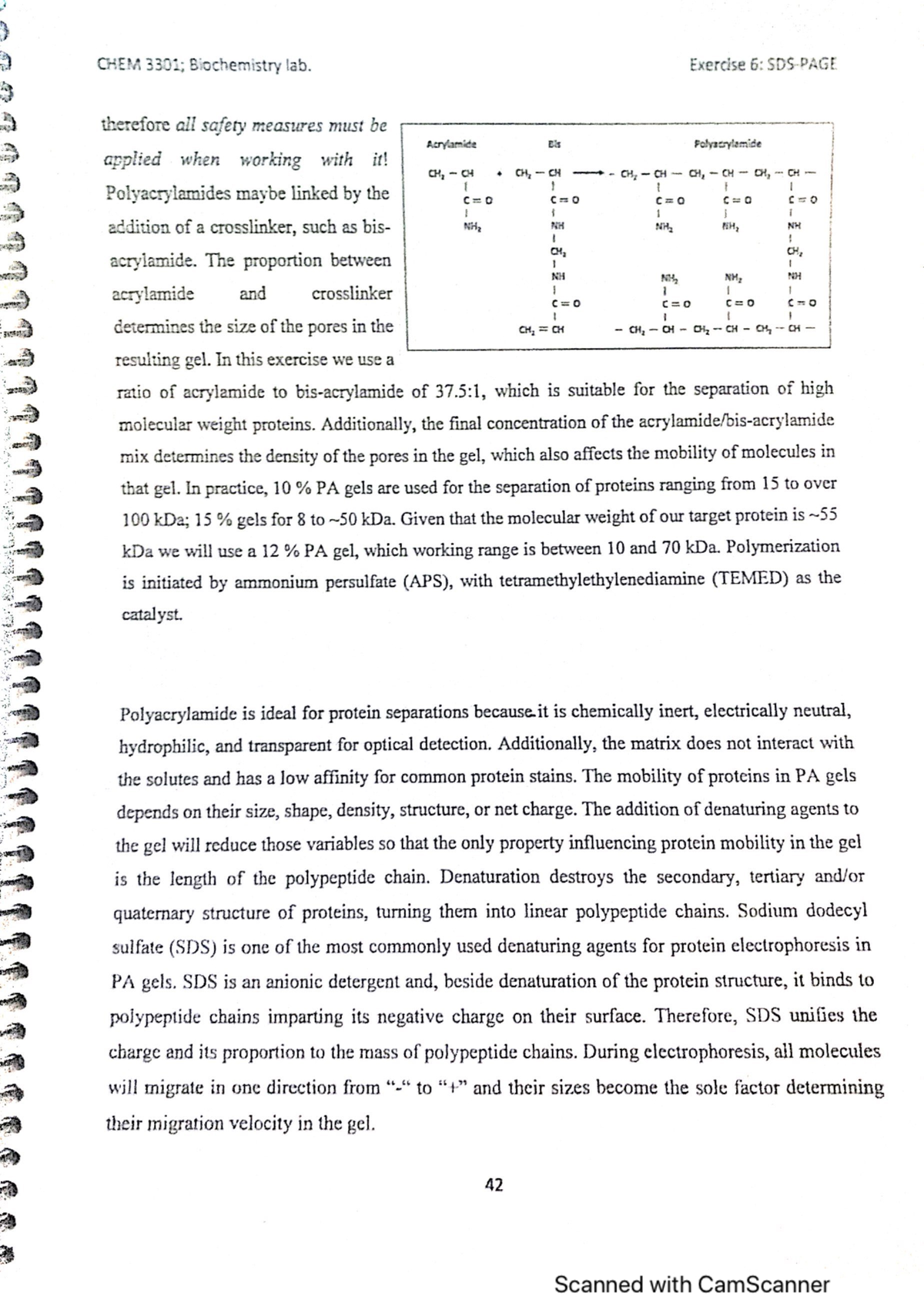 Exercise 6 - biochemistry lab 6 - CHEM 3301 - Studocu