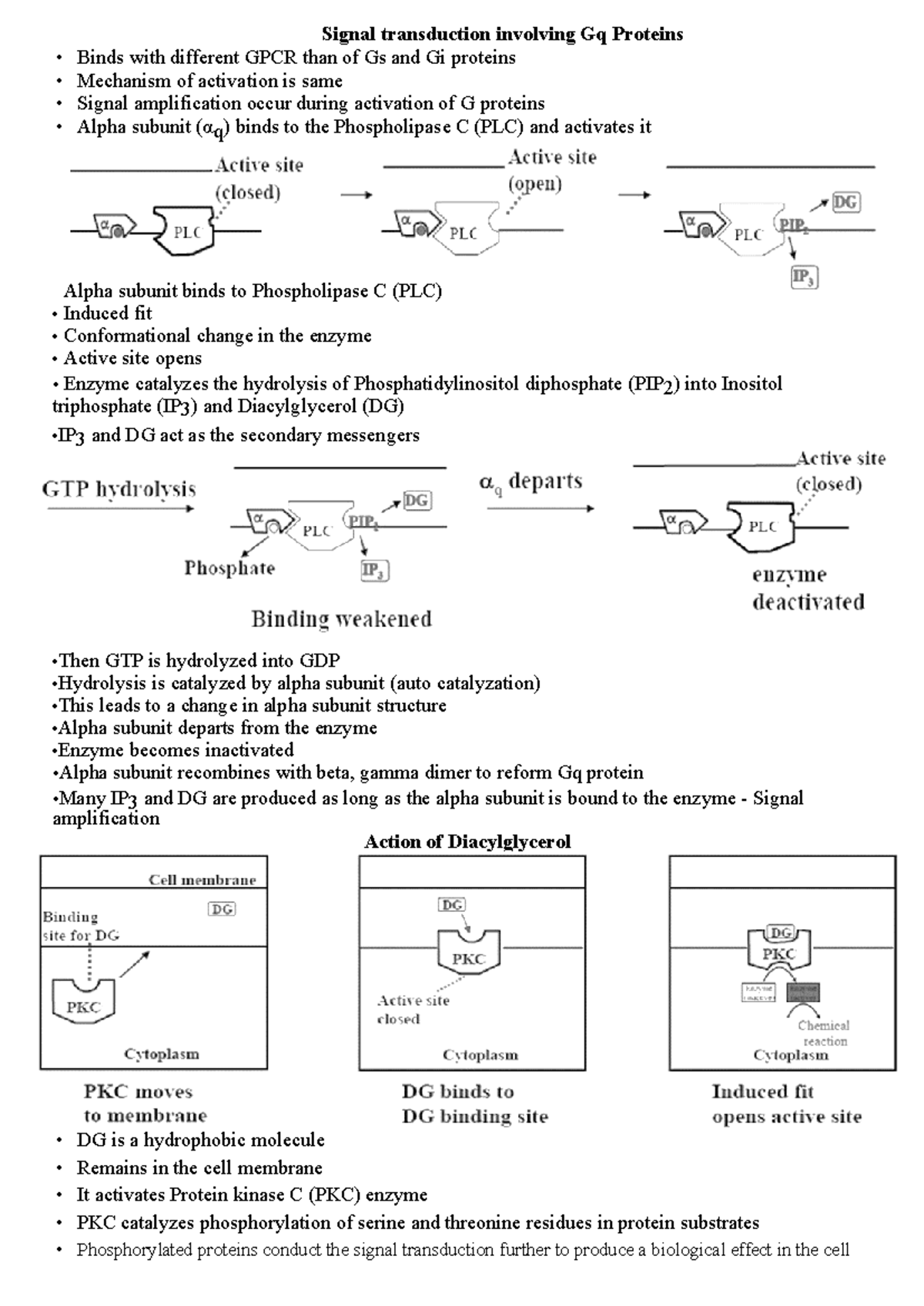 2. Signal transduction involving Gq Proteins - Studocu