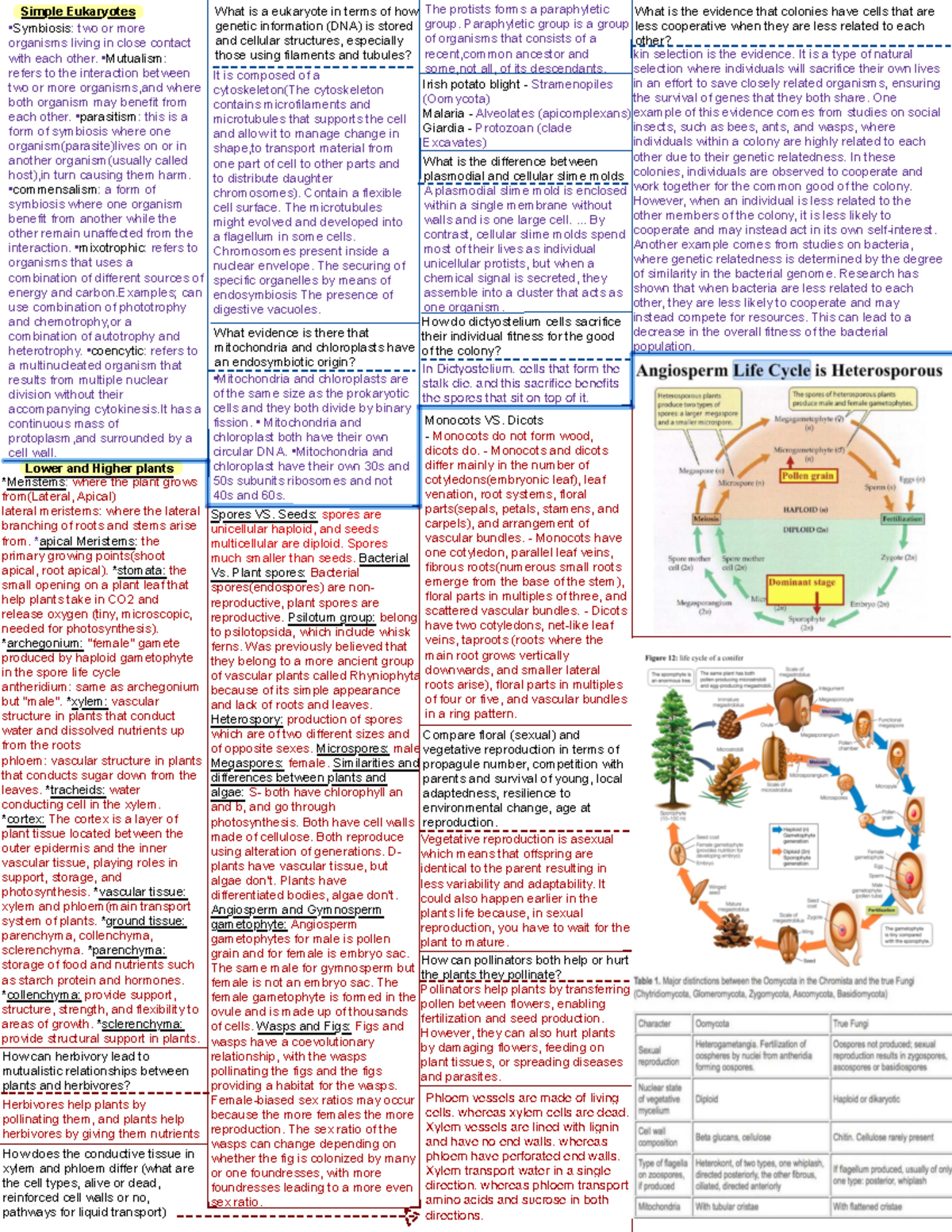 Bio midterm 2 cheat sheet - What is a eukaryote in terms of how genetic ...