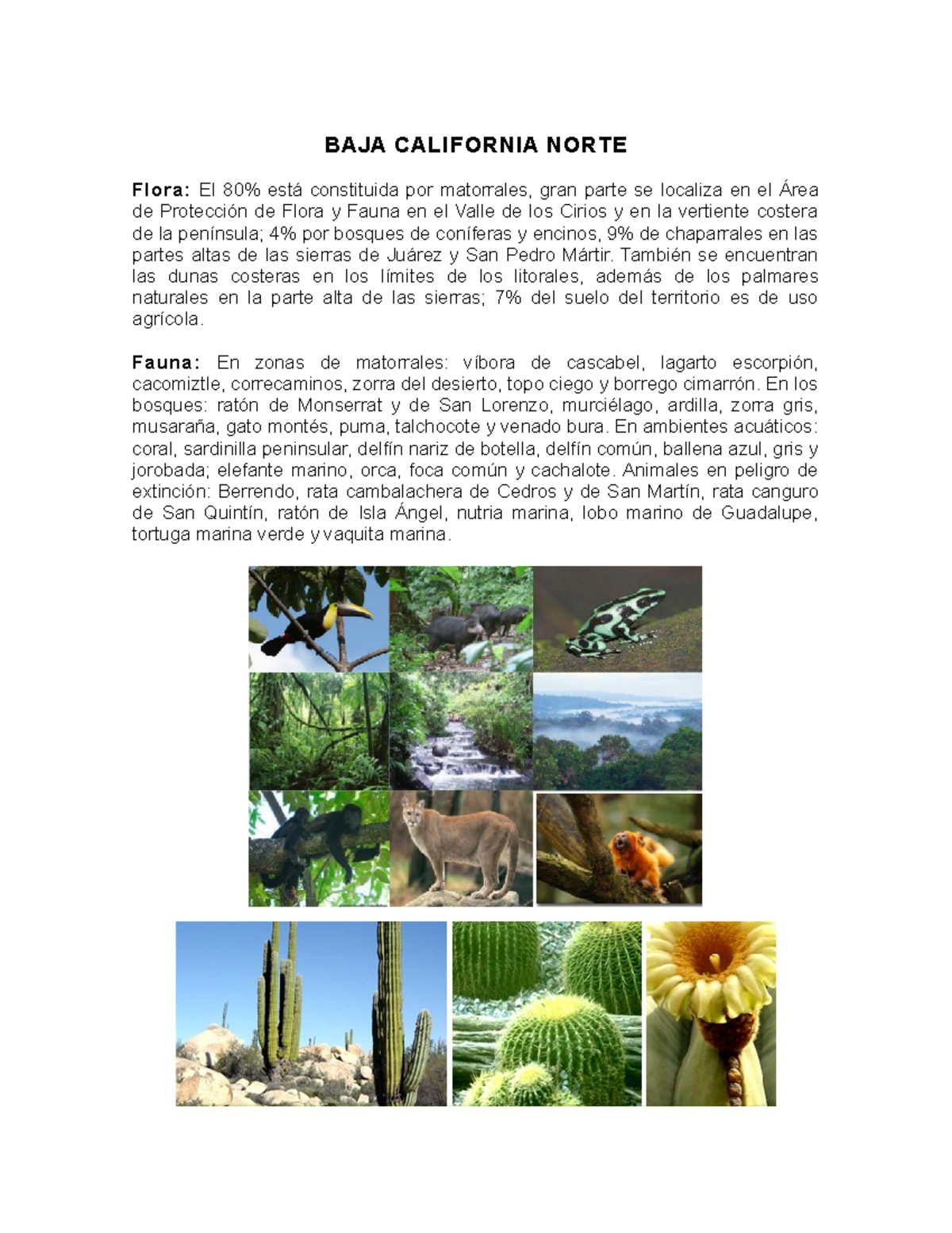 Baja California Norte - aaaaa - BAJA CALIFORNIA NORTE Flora: El 80% ...