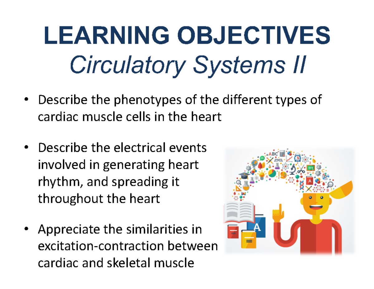 Bio2A03-Recorded 08B Circulatory Physiology 2 - LEARNING OBJECTIVES ...