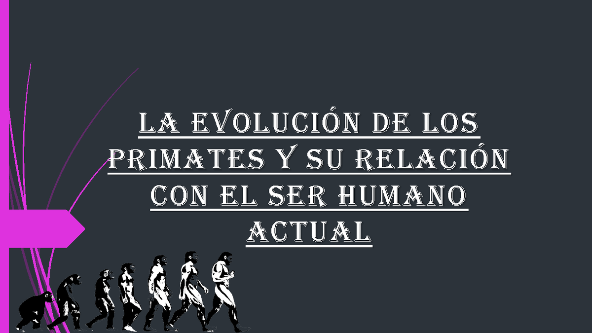 Evolucion de los primates - La evolución de los primates y su relación ...