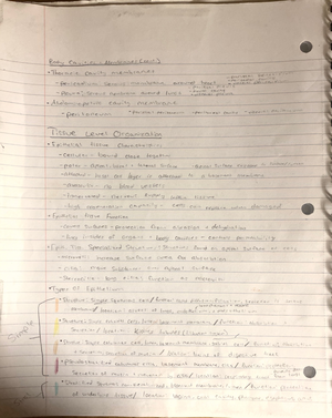 Vessels and Circulation - BIOL 3050 - Studocu