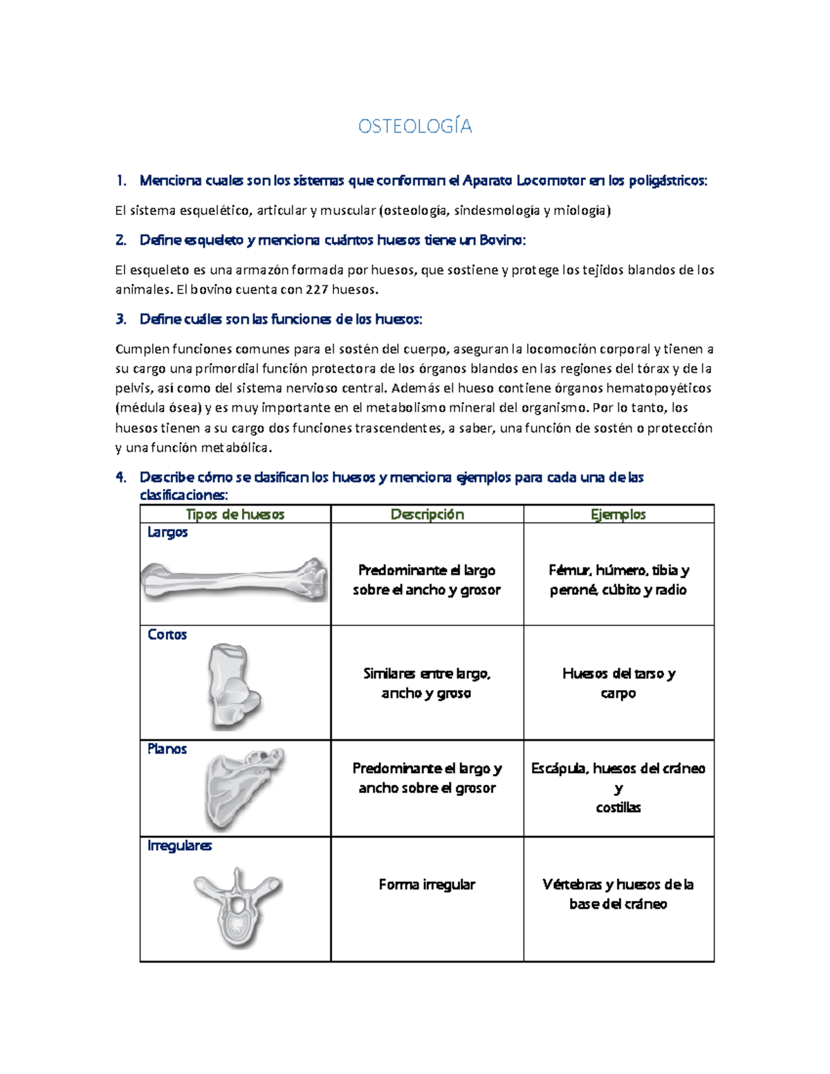 Rodriguez Vazquez Grupo E Ana y Fisio T1 - OSTEOLOGÍA Menciona cuales son los sistemas que ...