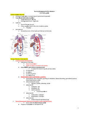 Genitourinary overview for study - What does genitourinary mean ...
