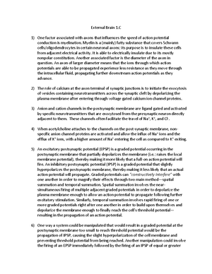 EB Unit 3C - external brain 3c - Warning: TT: undefined function: 32 Warning: TT: undefined ...