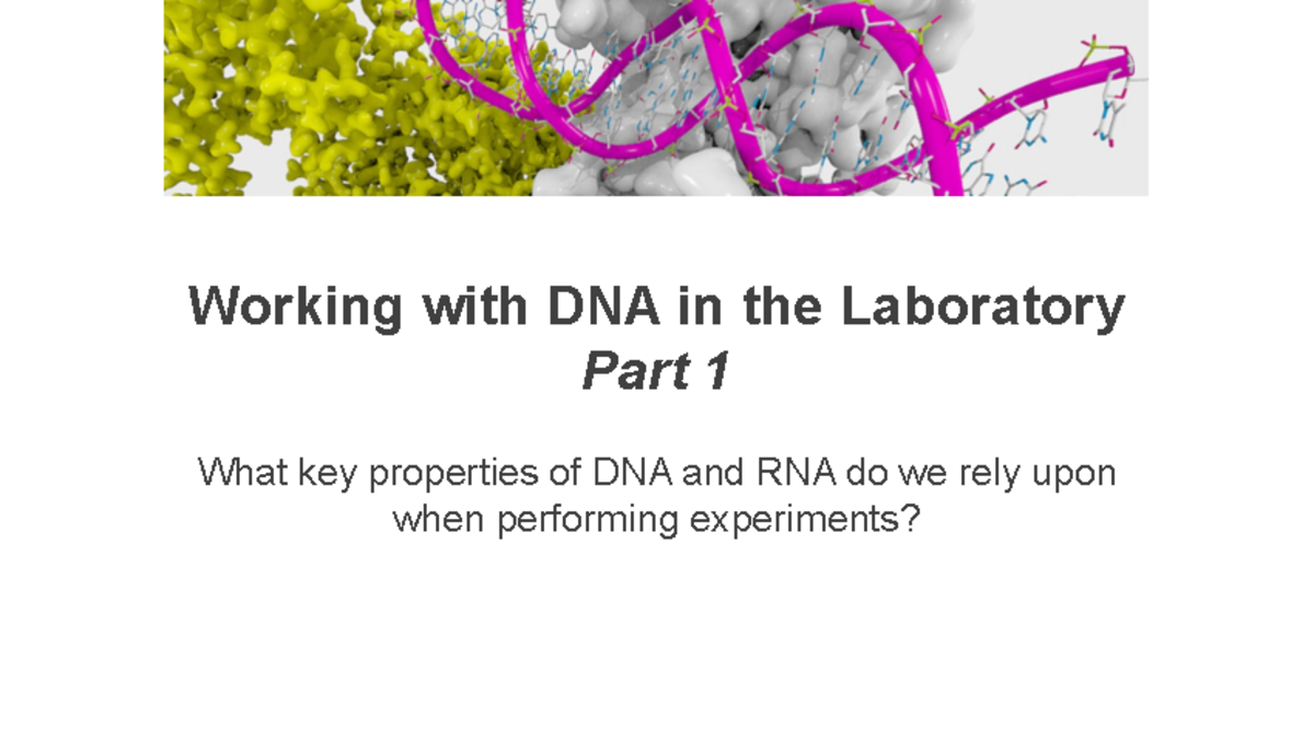 L05 - Lecture notes 3 - ####### Working with DNA in the Laboratory ...