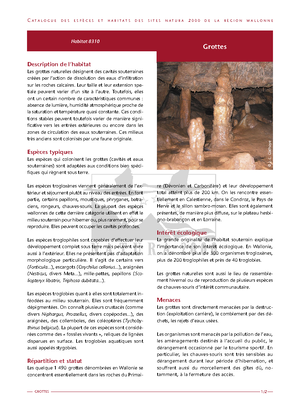 3270 vegetation-pionniere-nitrophile-des-berges-des-cours-d-eau - 1/ C ...
