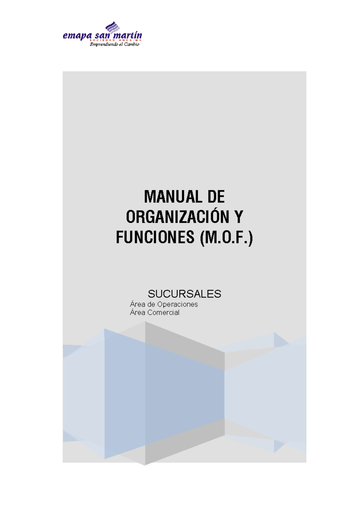 Manual de organizacion y funciones - MANUAL DE ORGANIZACIÓN Y FUNCIONES (M.O.) SUCURSALES Área ...