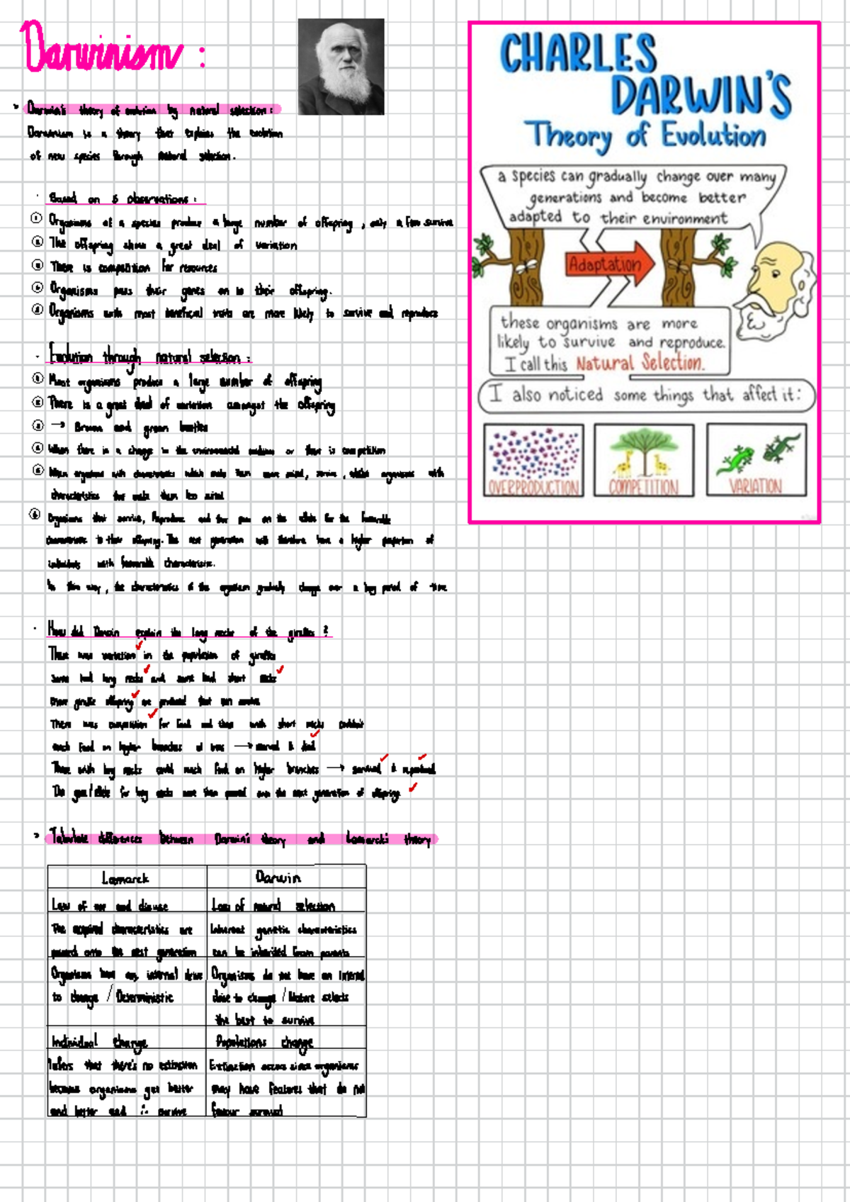 Darwin Notes - Darwinism : > Darwin's theory of evolution by natural ...