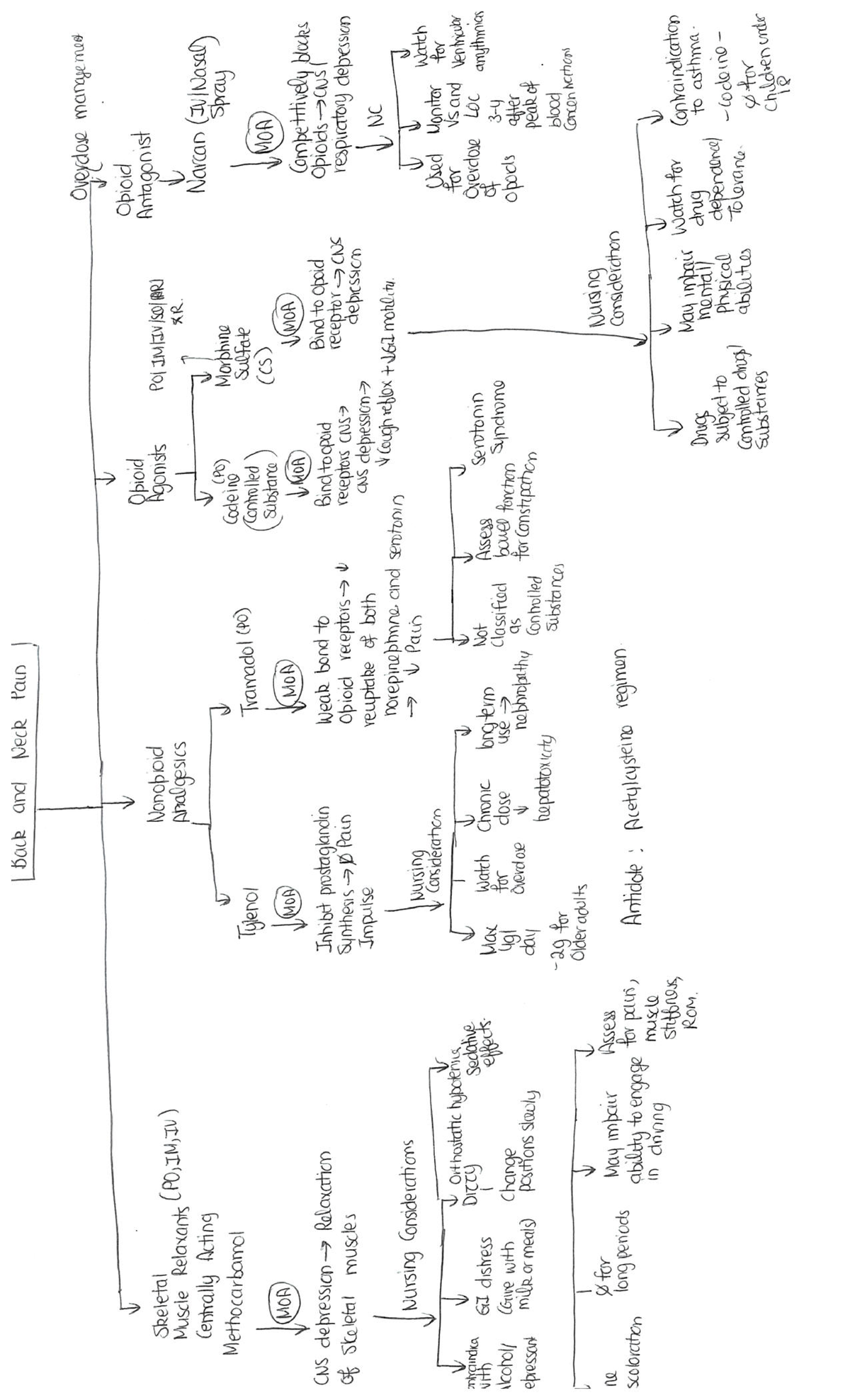 Concept map for MSK - hvfvjgnrjgnvgfjkb - PHAR13672 - Studocu