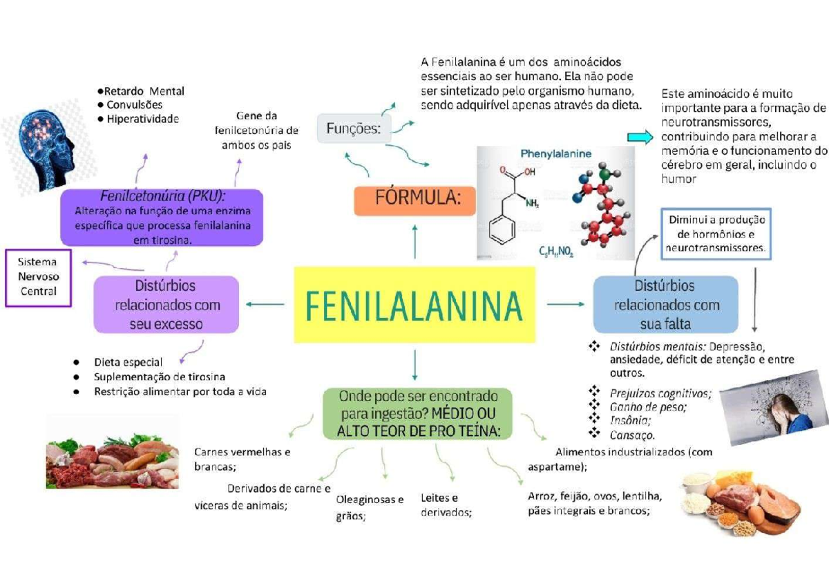 Metabolismo Da Fenilalanina L Fenilalanina 500mg Biofase
