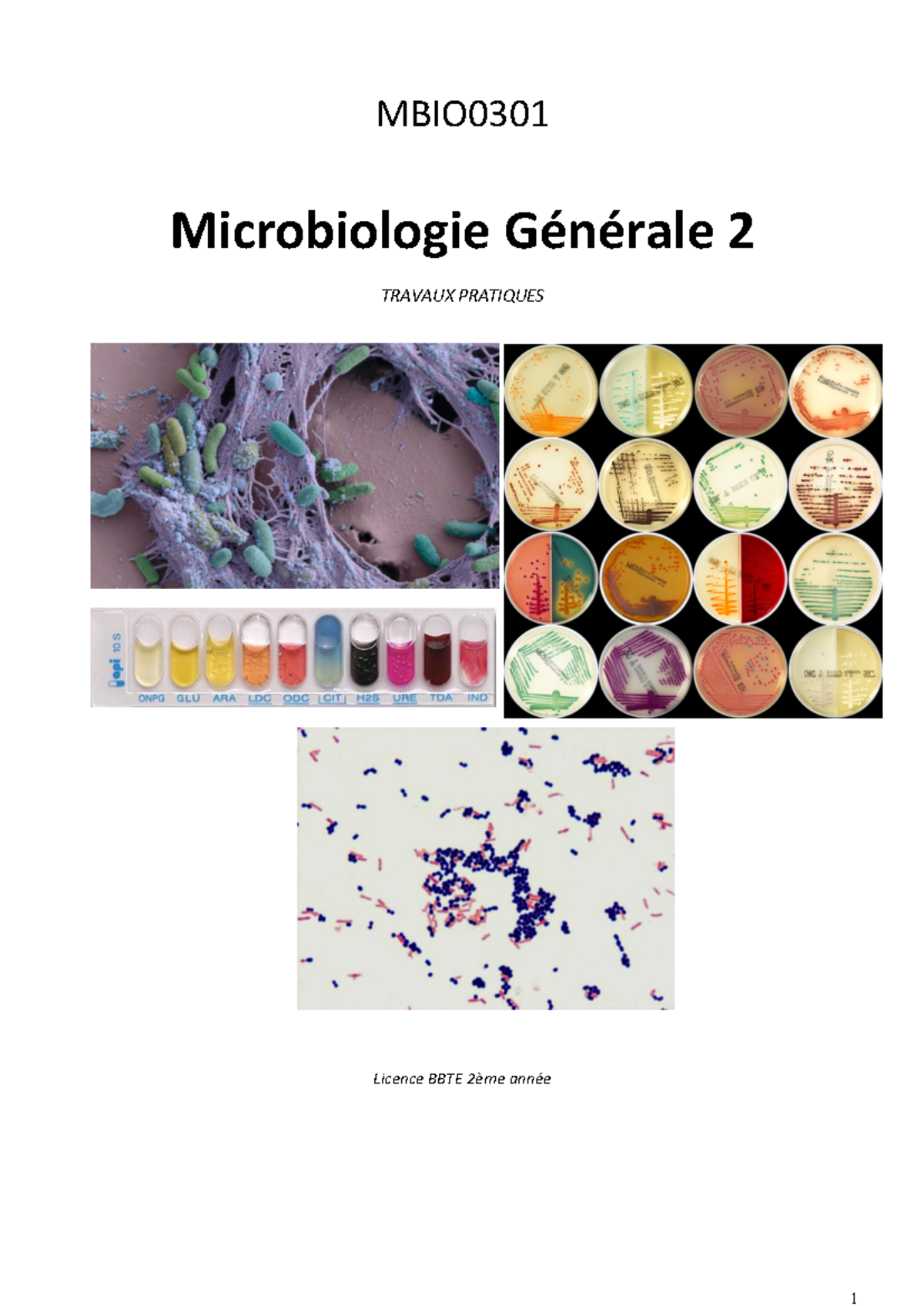 Fascicule TP1 et 2 2022 2023 - MBIO 0301 Microbiologie Générale 2 TRAVAUX PRATIQUES Licence BBTE ...