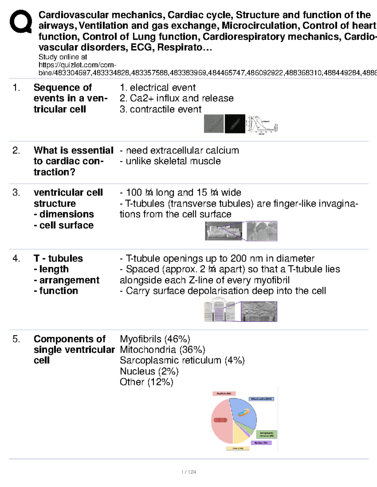 Year 1 CVR - Practice questions in the style of flash cards on all ...