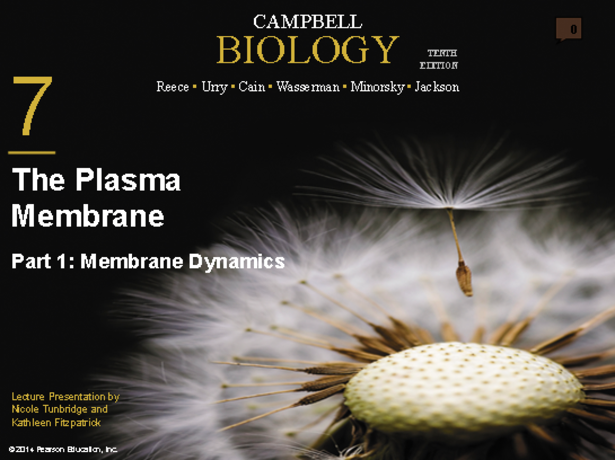 Ch 7 All - notes - ####### CAMPBELL BIOLOGY Reece • Urry • Cain ...