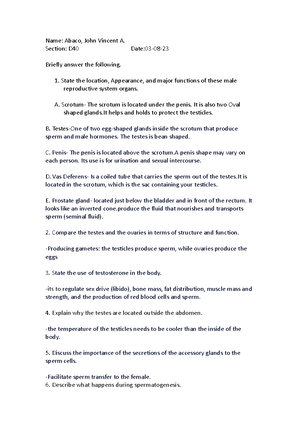 Curriculum-for- Baels - NORTHEASTERN COLLEGE Santiago City COLLEGE OF ...