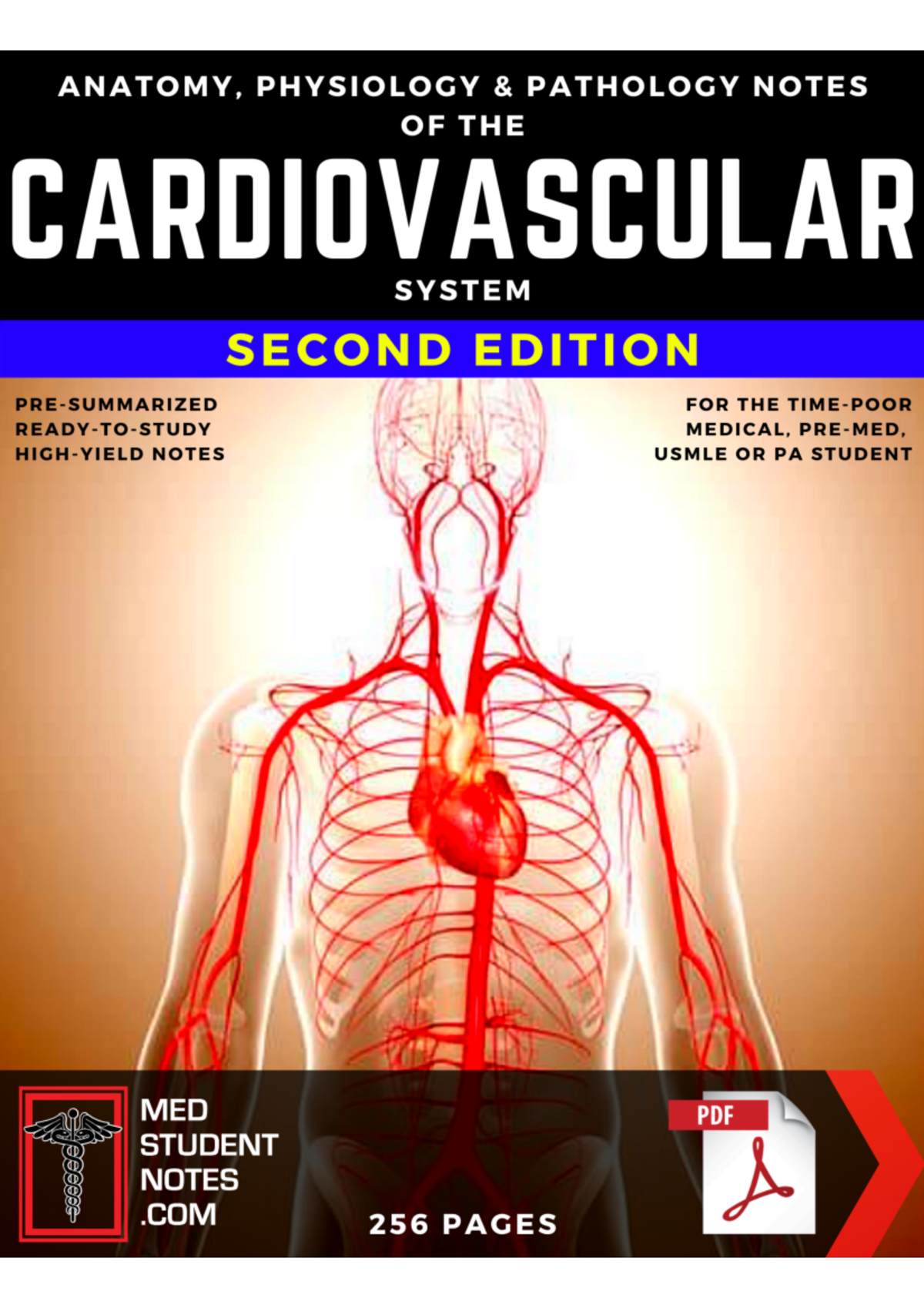 Sample - Cardiovascular Notes - A Welcome Letter From The Team At ...
