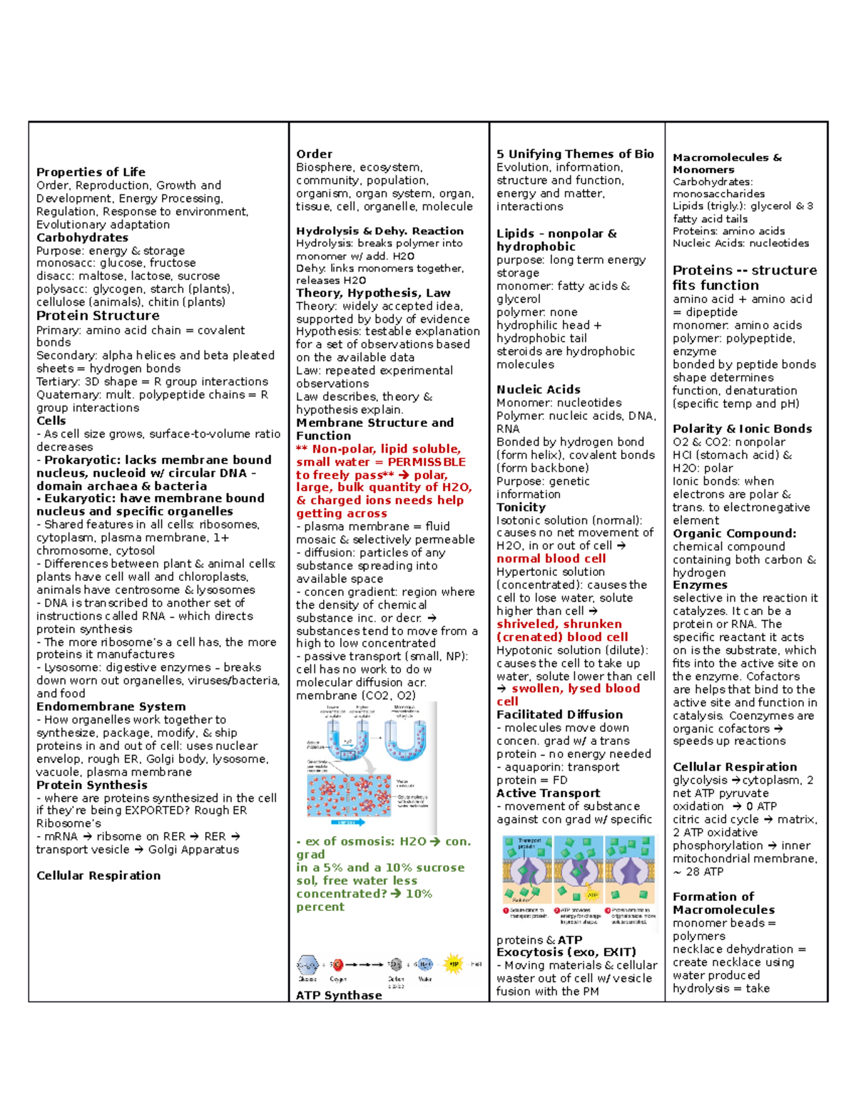 BIOL 101 Exam #1 Cheat Sheet - Properties of Life Order, Reproduction ...