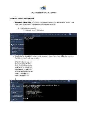 DAD 220 Module Two Activity Template - DAD 220 Module Two Activity Template Using the tables and ...