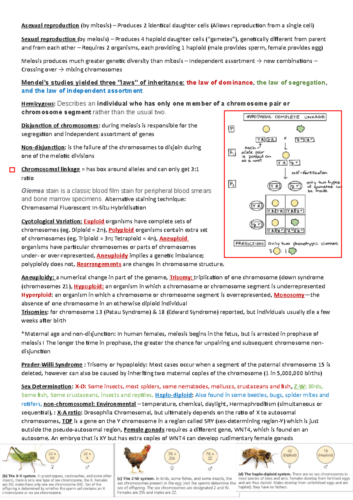 Genetics and Evolutionary Biology Module 2 - Asexual reproduction (by ...