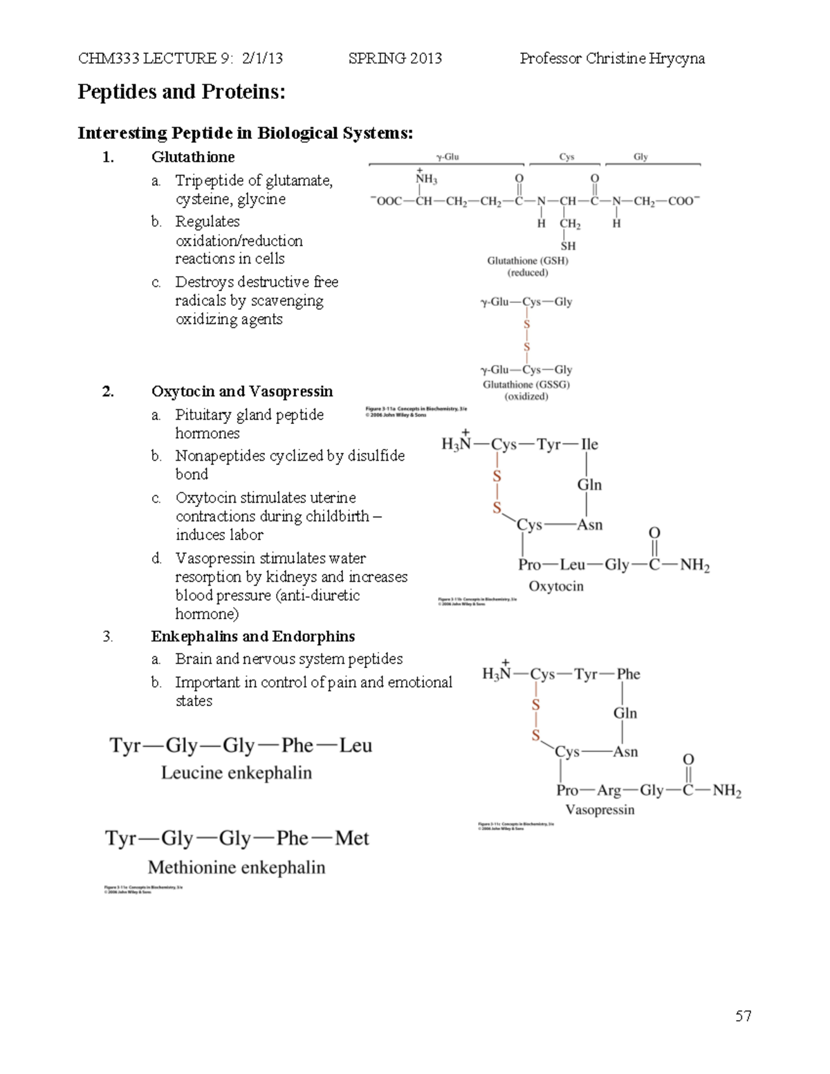 Lecture 9 biochem - Peptides and Proteins: Interesting Peptide in ...