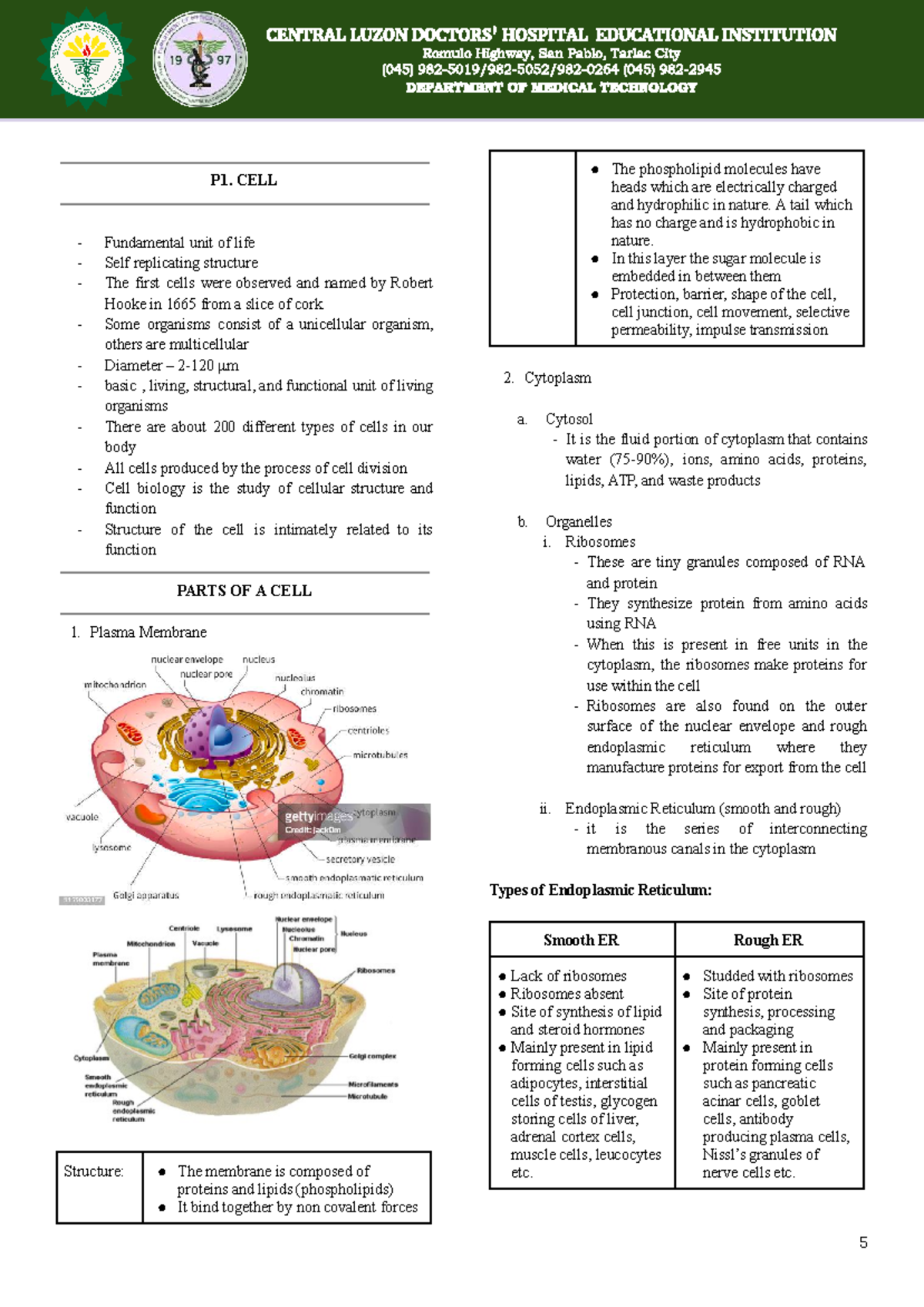 Histology LEC Compilation - Google Drive - P1. CELL - Fundamental unit of life - Self ...