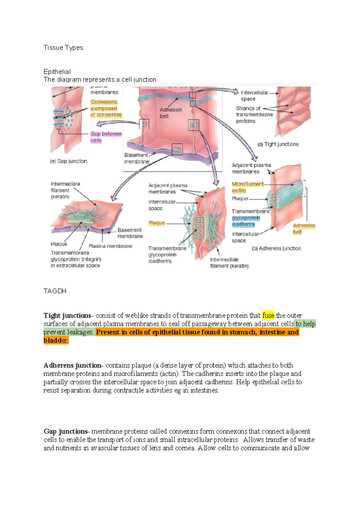 Tissue Types - Summary Biology for Biomedical Science: Cellular ...