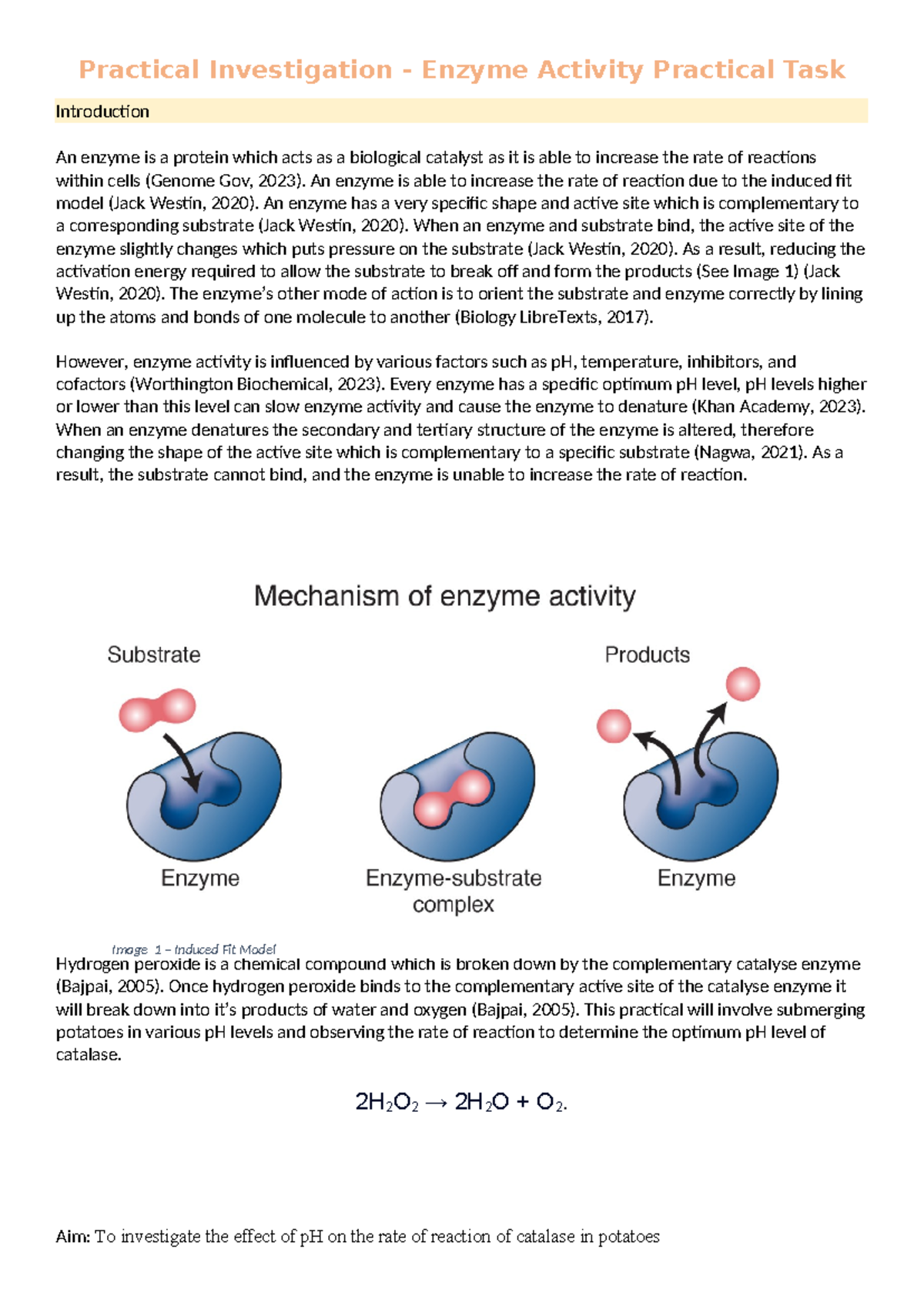 Stage 2 Biology Enzyme Practical Report - Practical Investigation ...