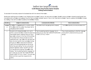 CJ 205 Module Four Assignment Template - CJ 205 Module Four Assignment ...