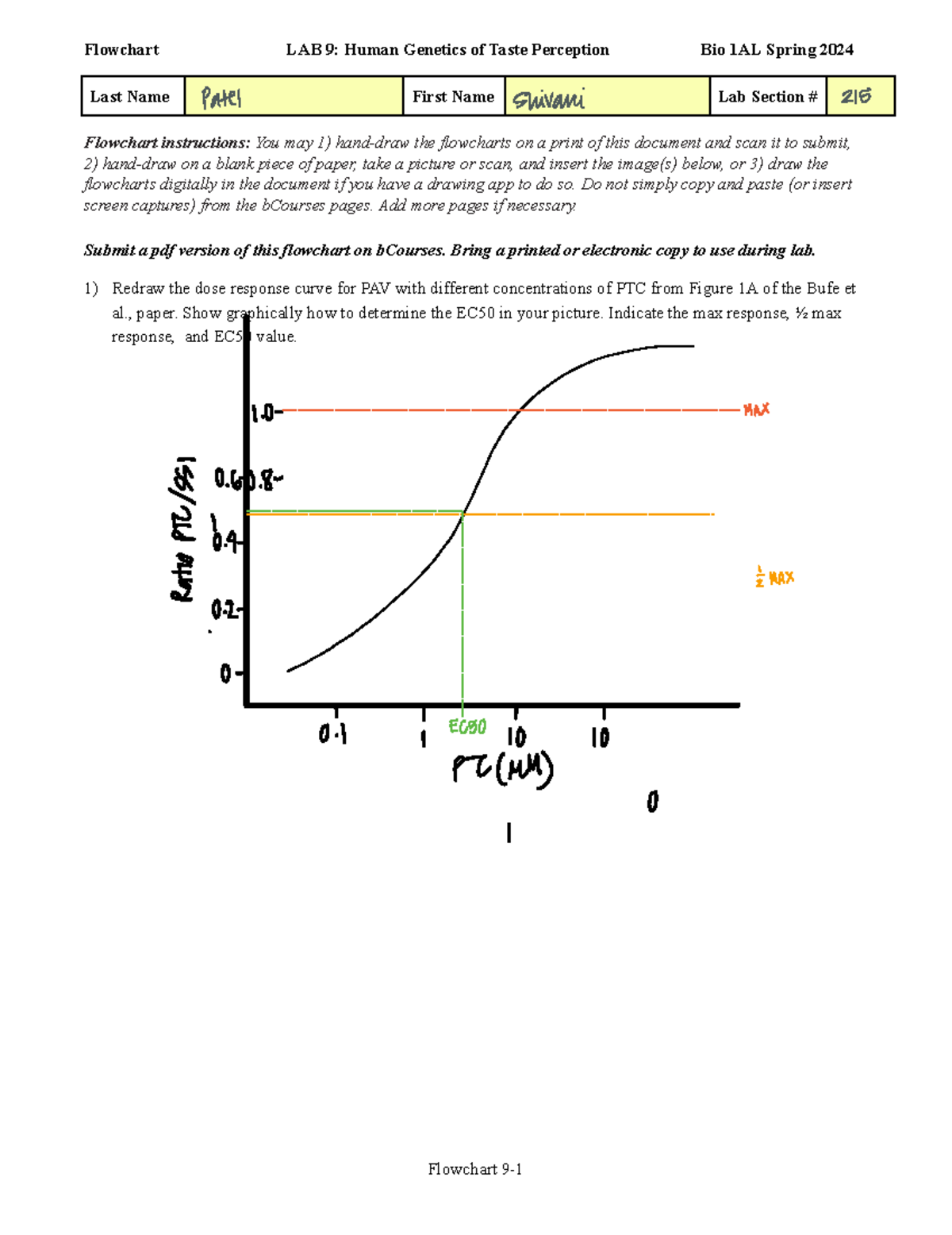 Lab 9 - Human Genetics and Taste Perception Flowchart Sp24 2 ...