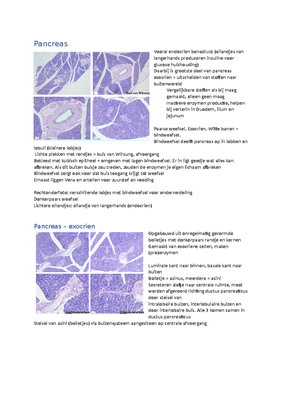 Microscopie van de Pancreas - Pancreas Vooral endocrien benadrukt ...